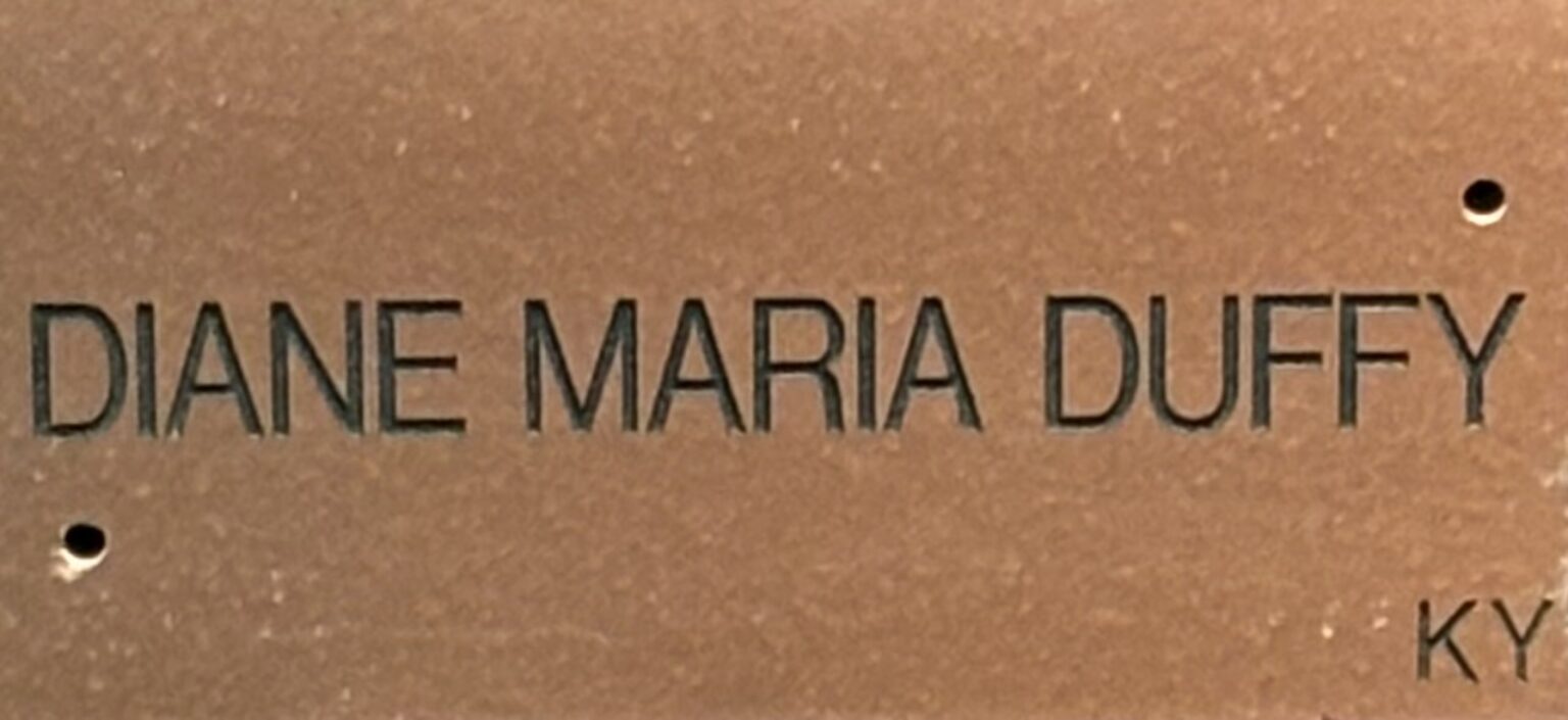 Diane Maria Duffy - National Teachers Hall of Fame