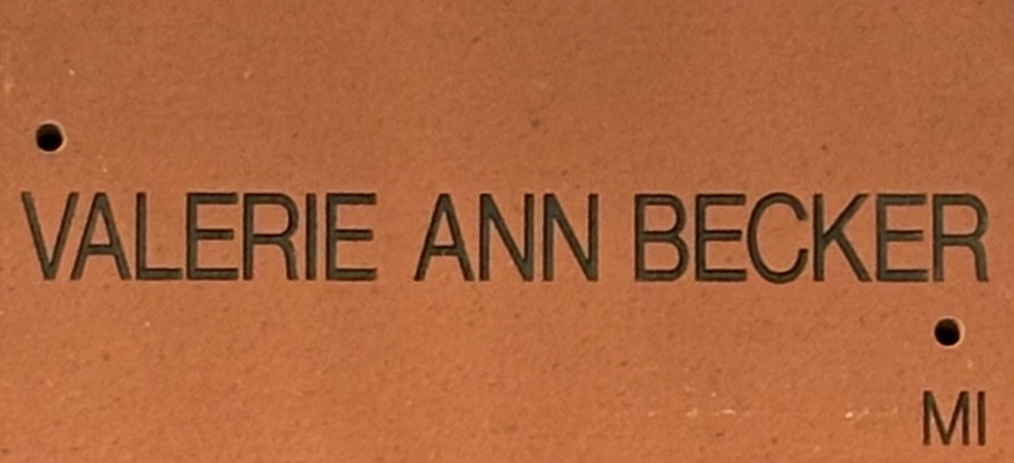 Valerie Ann Becker - National Teachers Hall of Fame